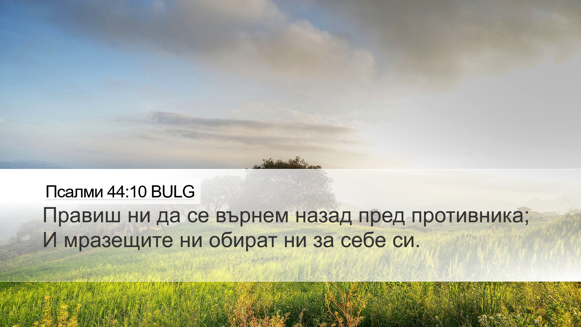 Псалми 44:10 BULG Desktop Wallpaper - Правиш ни да се върнем