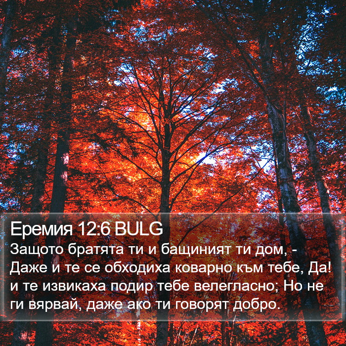 Еремия 12:6 BULG - Защото братята ти и
