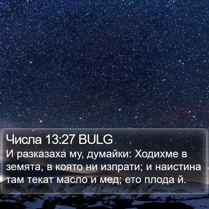 Числа 13:27 BULG - И разказаха му, думайки: