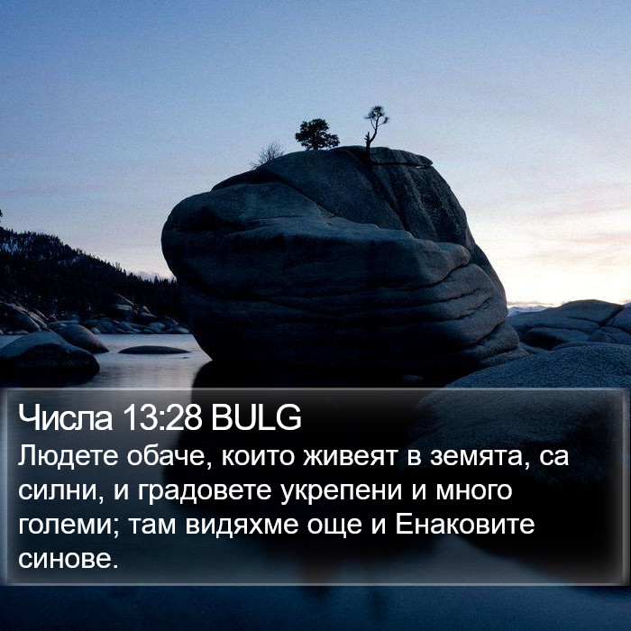 Числа 13:28 BULG - Людете обаче, които живеят