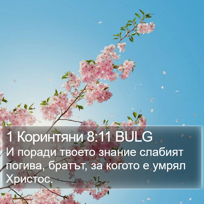 1 Коринтяни 8:11 BULG - И поради твоето знание