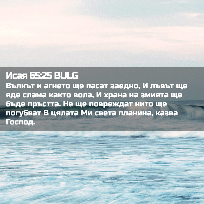 Исая 65:25 BULG - Вълкът и агнето ще пасат