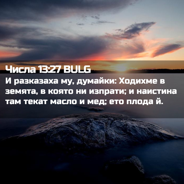Числа 13:27 BULG - И разказаха му, думайки: