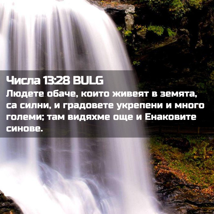 Числа 13:28 BULG - Людете обаче, които живеят