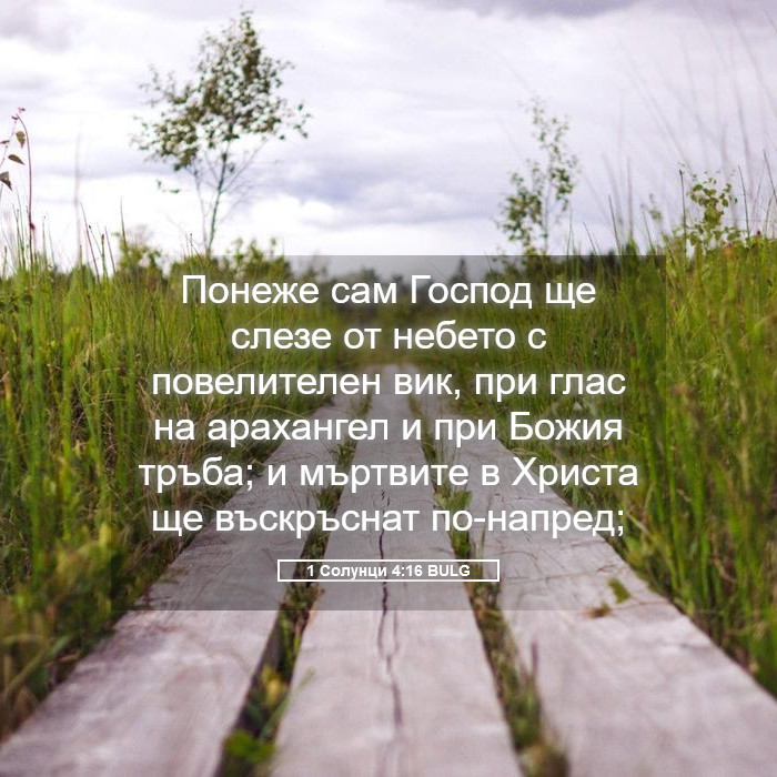 1 Солунци 4:16 BULG - Понеже сам Господ ще слезе